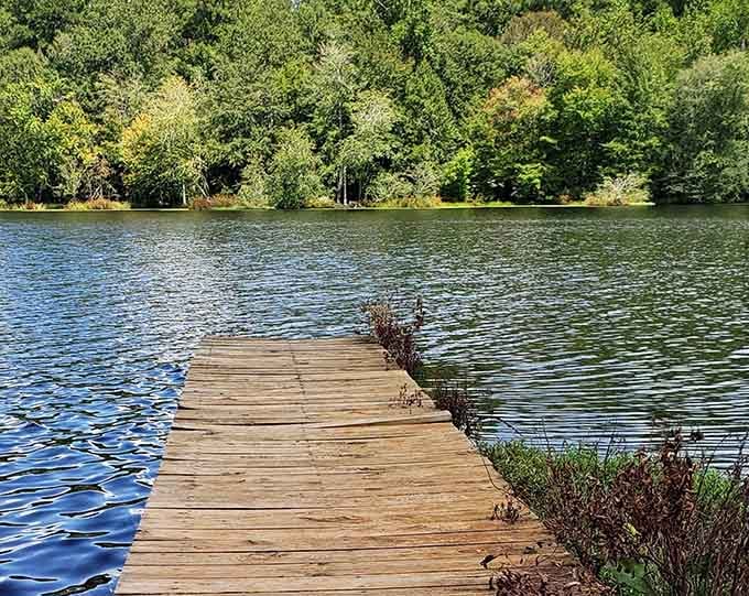 Paul M. Grist's rustic wooden dock curves invitingly toward sparkling blue water framed by a lush summer forest.