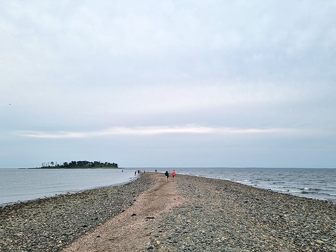 Low tide reveals a rocky path toward Charles Island, and yes, the adventure is absolutely worth the walk.