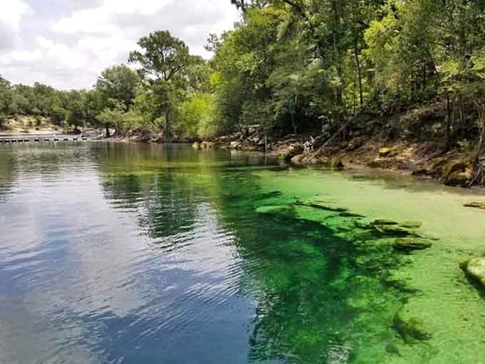 Where the deep blue river meets the vivid green spring water, Florida's geology puts on a color show nobody paid to see.