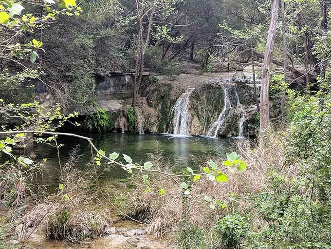 Tucked behind a curtain of cedar and oak, this mossy waterfall at Wild Basin feels like a reward worth earning.