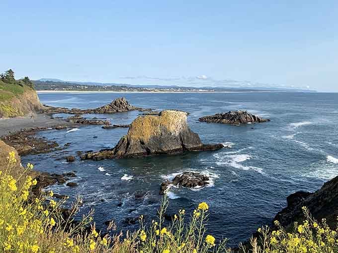Golden wildflowers frame these ancient sea stacks like nature's own picture frame, complete with crashing wave soundtrack.