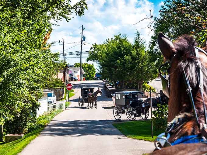 When horses share the road with cars, you know you've found a place that values tradition over speed.