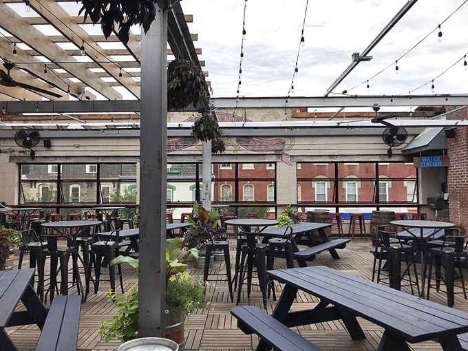 Wooden deck tiles, hanging greenery, and brick buildings framing the horizon make this rooftop feel like a reward.