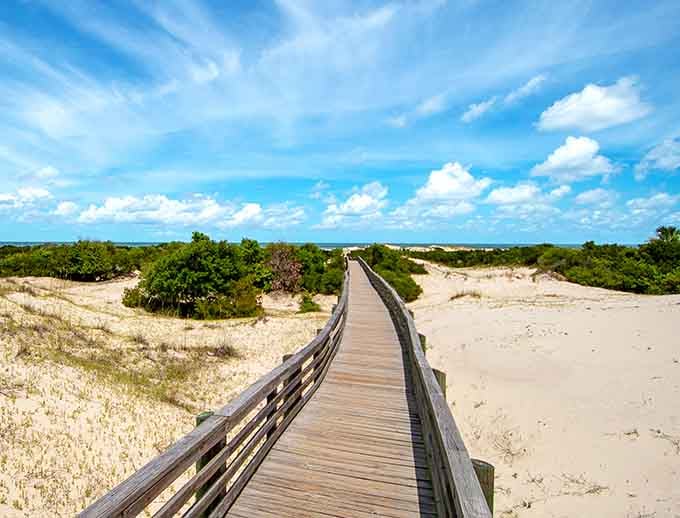 This weathered boardwalk leads to pristine beaches where wild horses roam free like they're auditioning for a movie.