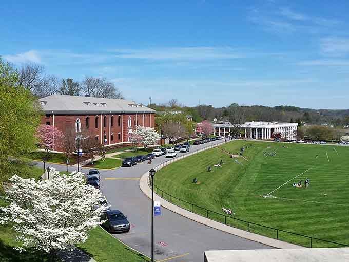 Dogwood blossoms and a perfectly manicured green lawn frame Dahlonega's campus skyline like a postcard that never gets old.