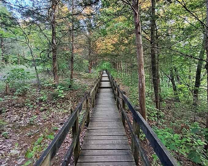 This long wooden boardwalk disappears into a cathedral of autumn trees, promising something wonderful at the end of every single plank.