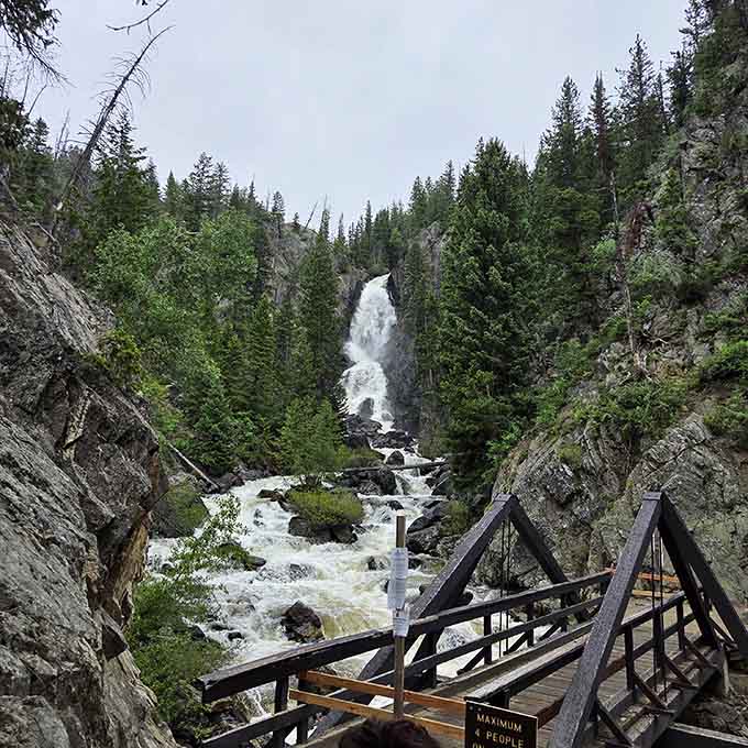 The wooden viewing bridge says "maximum 4 people," but the waterfall behind it is generous enough for absolutely everyone.