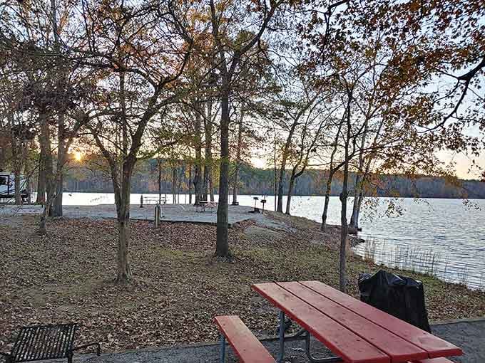 This quiet picnic spot offers front-row seats to nature's daily show of shimmering water and golden sunlight.