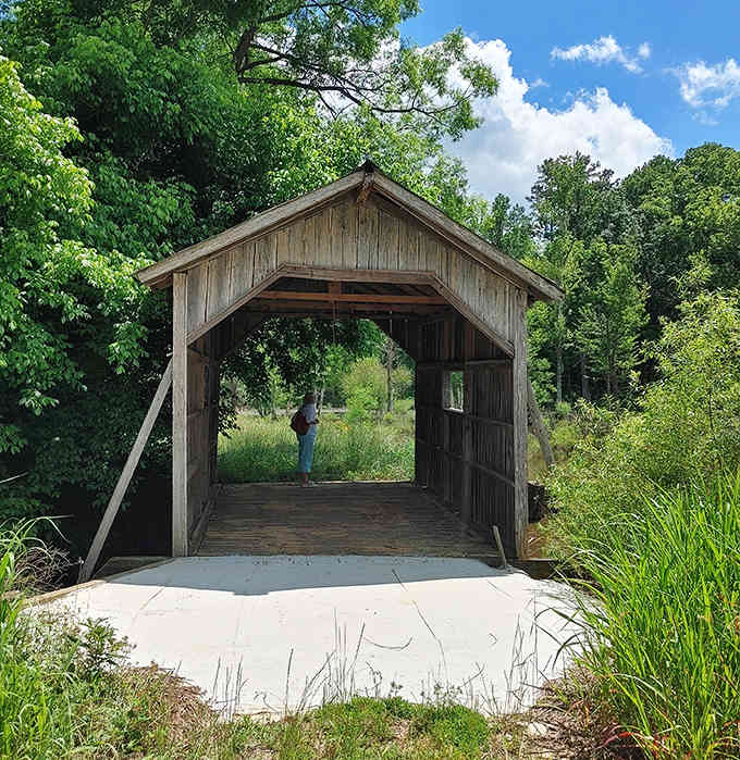 One lone visitor stands inside, perfectly framed by open wooden walls and a meadow beyond.