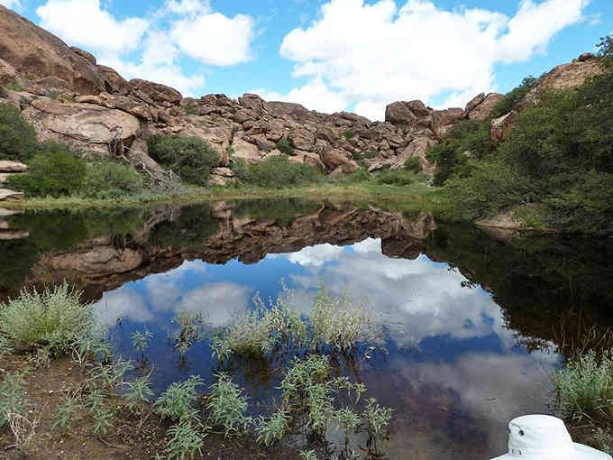 Still water mirrors the sky so perfectly you'll question which way is up—nature's own Rorschach test.