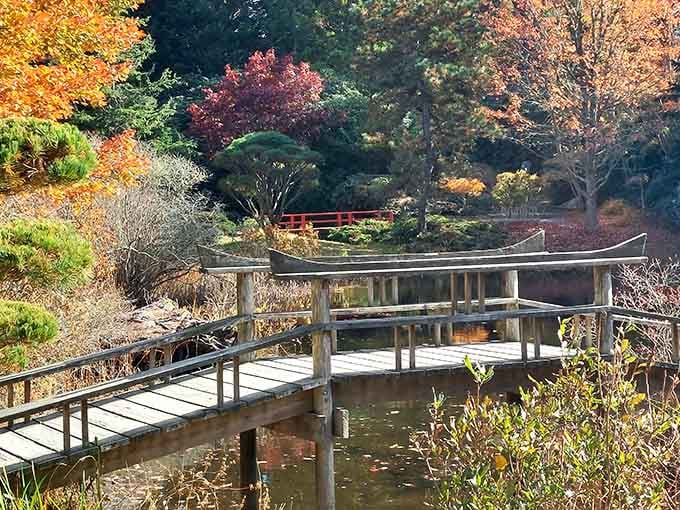 Autumn transforms this Japanese garden into a painter's palette where crimson maples dance with golden foliage beside tranquil waters.