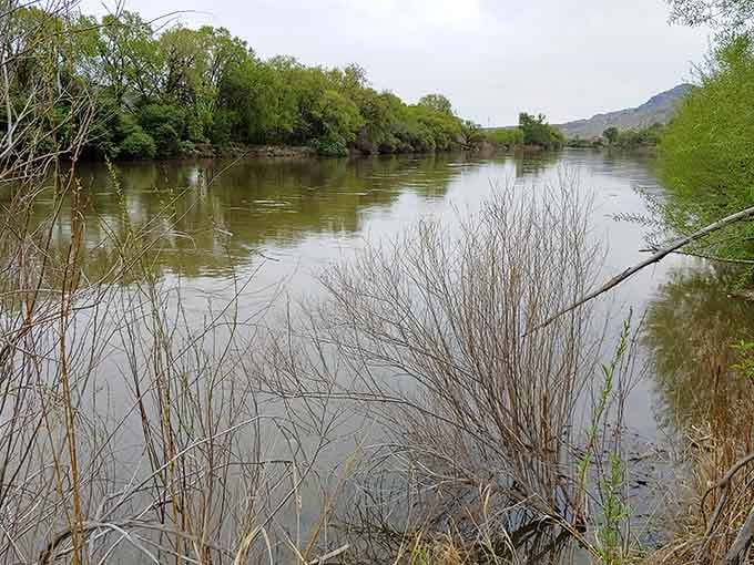 Willows and wild grasses guard the shoreline of this serene waterway, nature's own private sanctuary awaiting discovery.