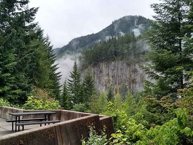 Mist curling around basalt columns and a lonely picnic table below, proof that even rainy days here look absolutely cinematic.