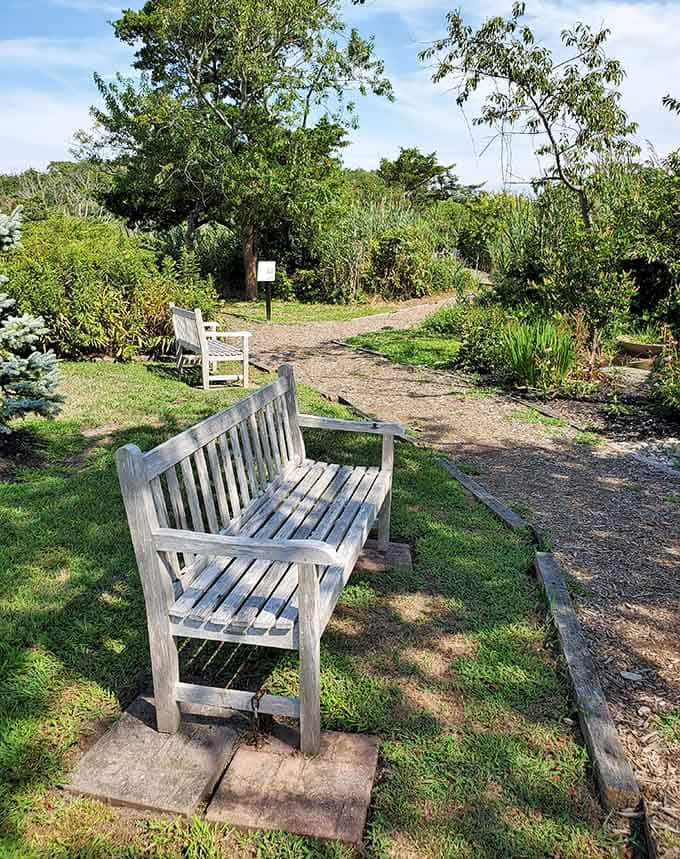 This weathered bench sits waiting like an old friend, ready to share garden secrets and quiet moments.