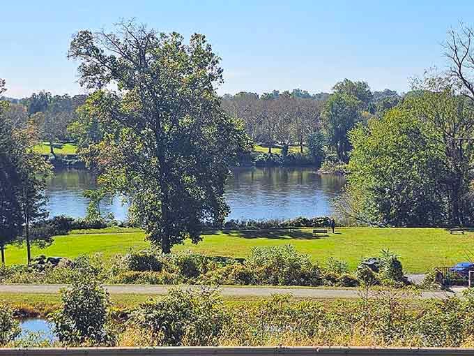 A lone bench beside the river in early autumn light suggests someone already figured out the best seat in the park.