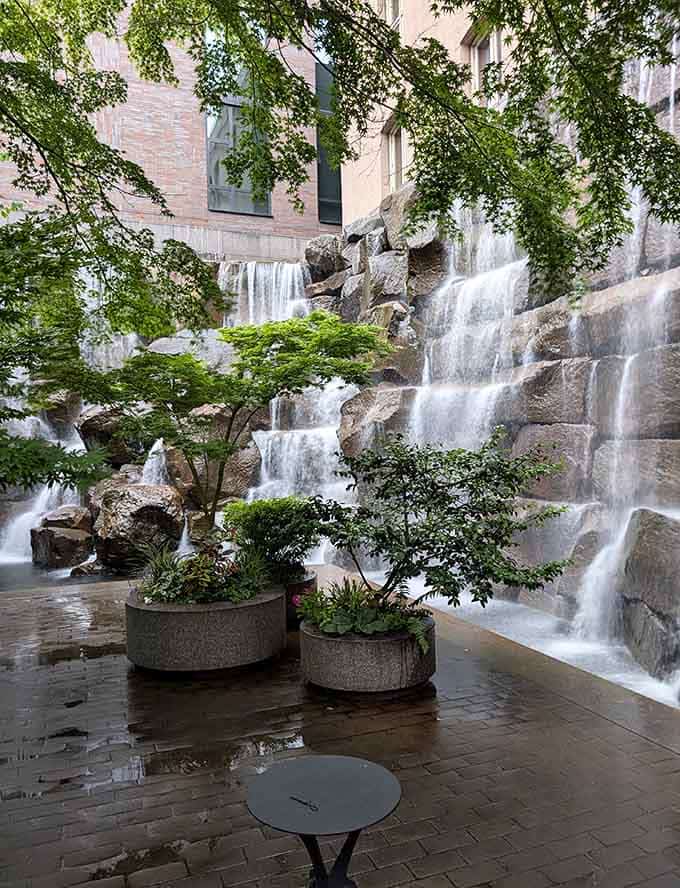 Water sheets down layered boulders in silky ribbons while Japanese maples lean in admiringly, proving Seattle hides its best tricks in plain sight.