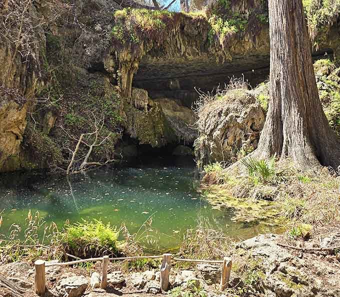 A limestone overhang drips with ancient formations above jade-green water, looking like something straight out of a fantasy novel.