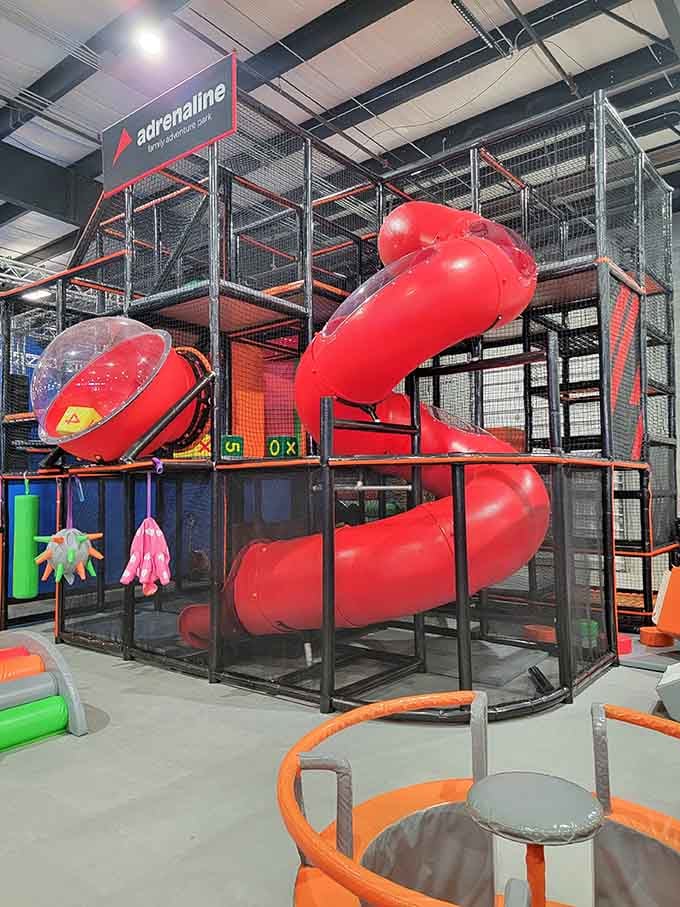 That red tube slide promises thrills that make regular playground equipment look like it retired early and moved to Florida.