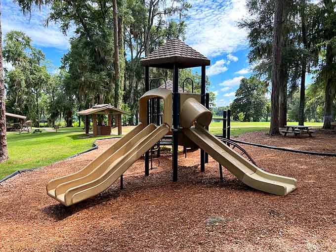 Even the playground here comes with a backdrop of Spanish moss and towering pines. Lucky kids.
