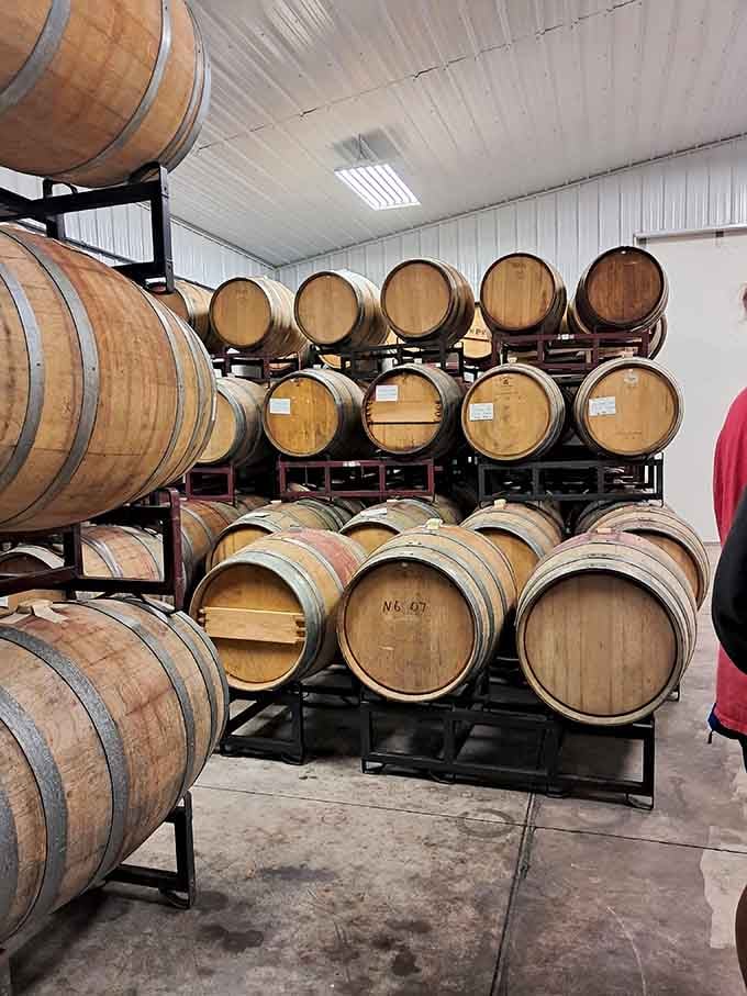 Rows of oak barrels aging wine while you're out there aging too, but at least the wine improves.