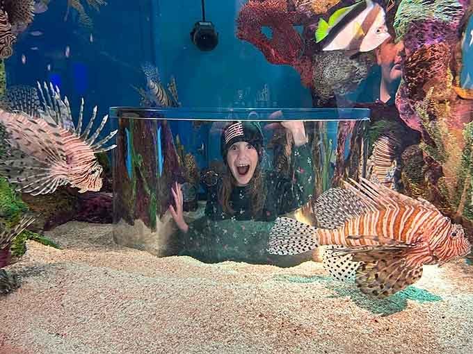 That face you make when you're surrounded by lionfish and realize this is somehow happening in the Ozarks.