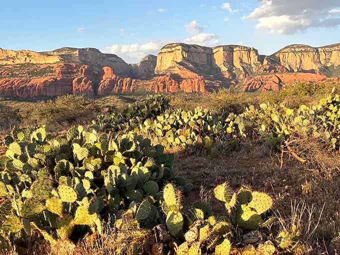 Prickly pear cactus in the foreground, red rock mesas in the back. Arizona showing off again, naturally.