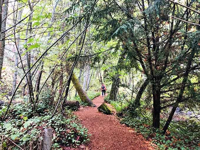Lithia Park's forest trails feel like walking through a painting that someone forgot to put a velvet rope around.