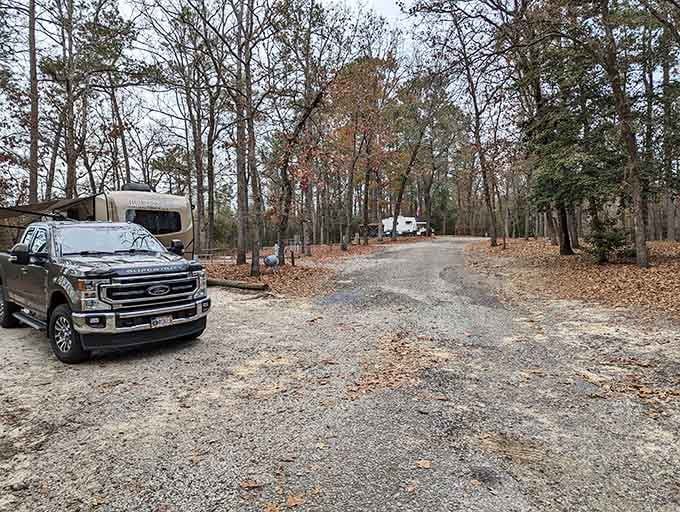 RVs lined up beneath bare winter trees like a neighborhood that actually has good parking. Nature wins again.