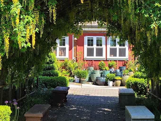 Peek through the laburnum arch and you'll find pottery, color, and pure Pacific Northwest charm waiting.