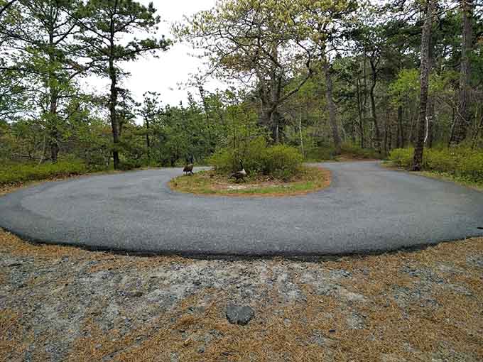 The trail loop that quietly asks, "Which way do you want to be amazed today?"