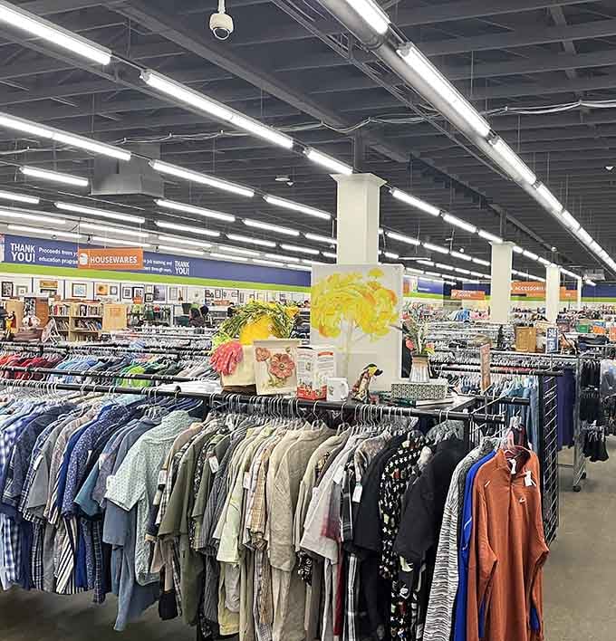 Long racks, bright lights, and enough variety to keep you browsing until closing time.