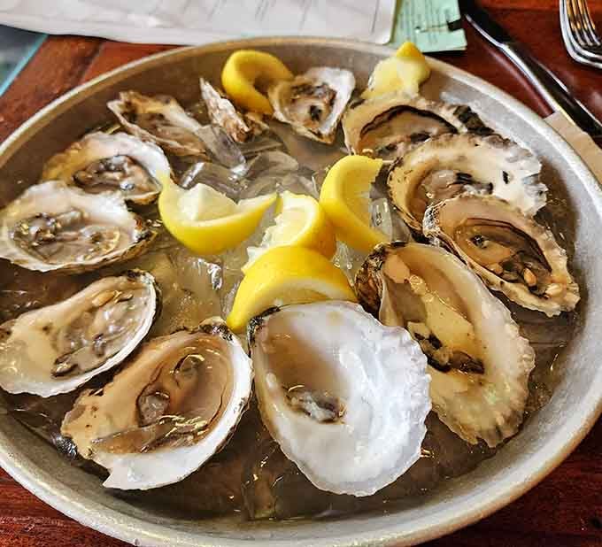 Fresh oysters on ice with lemon wedges. Simple, honest, and absolutely no apologies needed from anyone.