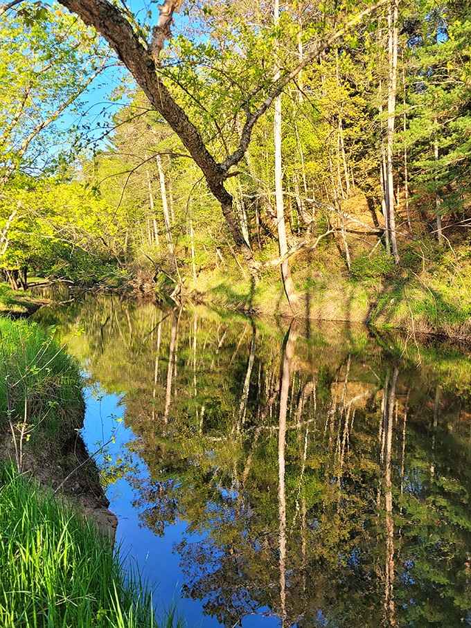 Nature's reflection pool proves that sometimes the best art gallery has no admission fee whatsoever.