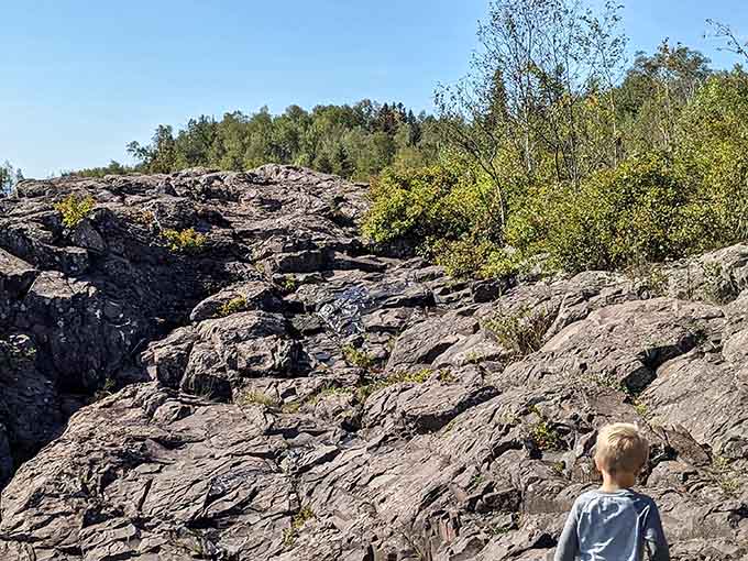 Every great explorer started somewhere, and this little adventurer just found the most epic backyard in Minnesota.