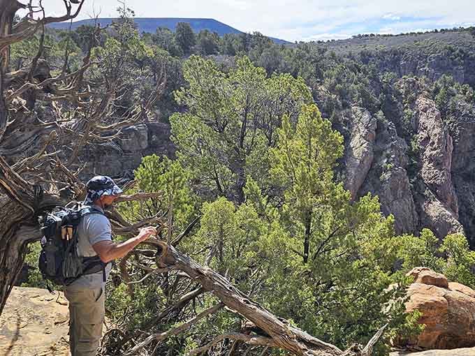 Hiking these trails means trading your comfort zone for views that'll haunt your dreams forever.