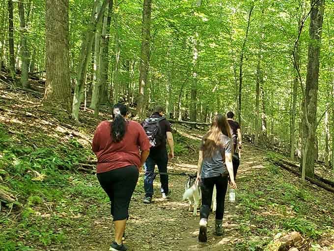 Dogs, friends, and forest trails, honestly, this is the kind of Saturday that fixes everything.