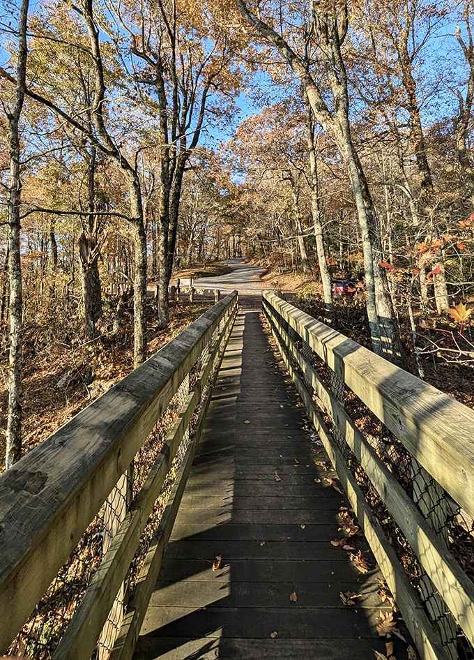 This boardwalk doesn't lead anywhere ordinary. Every step forward is a step toward something spectacular.