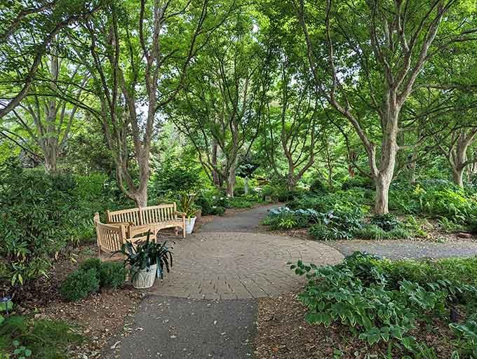 The Hahn Horticulture Garden offers shaded paths and wooden benches, nature's own prescription for a better afternoon.