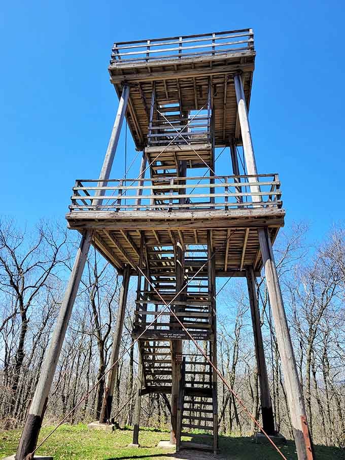 Three levels of pure wooden ambition rising above the treetops. No elevator, no apologies, all reward.