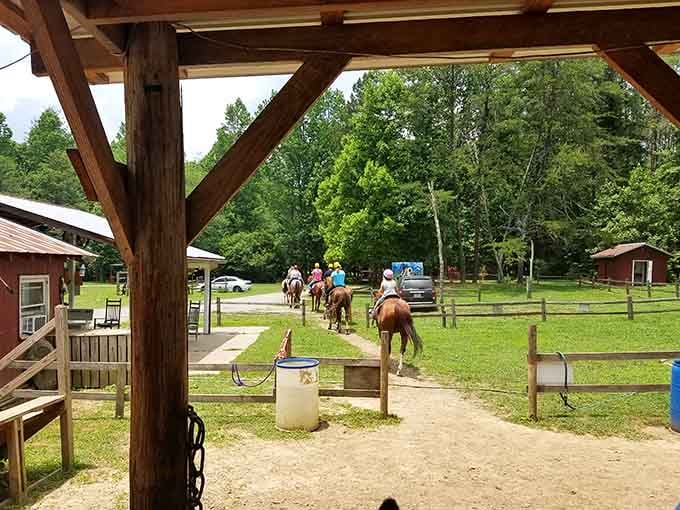 The group heads out, and just like that, the real world disappears behind the tree line.