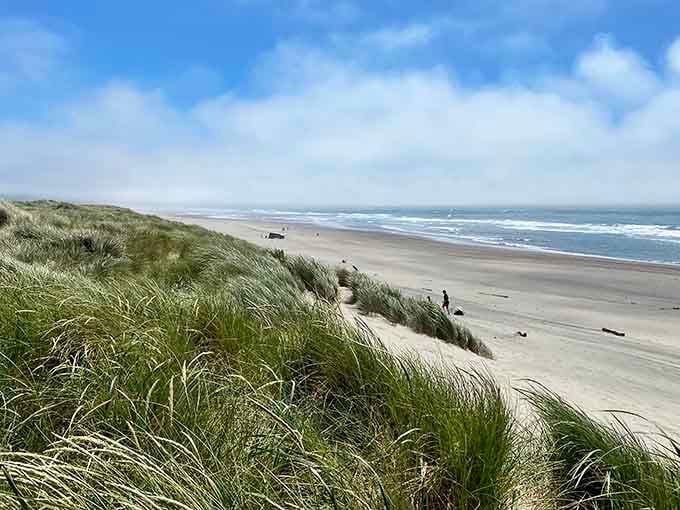 Green dunes, golden sand, blue ocean. Oregon didn't have to show off this much, but here we are.
