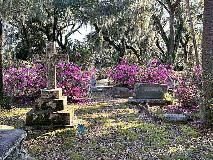When azaleas bloom between the headstones, Bonaventure stops being a cemetery and becomes a painting.