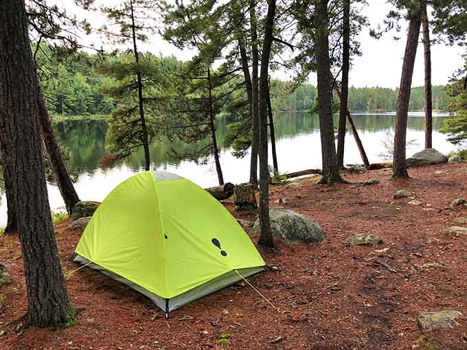 Your tent, a pine forest, and a lake view that no hotel concierge could ever book for you.