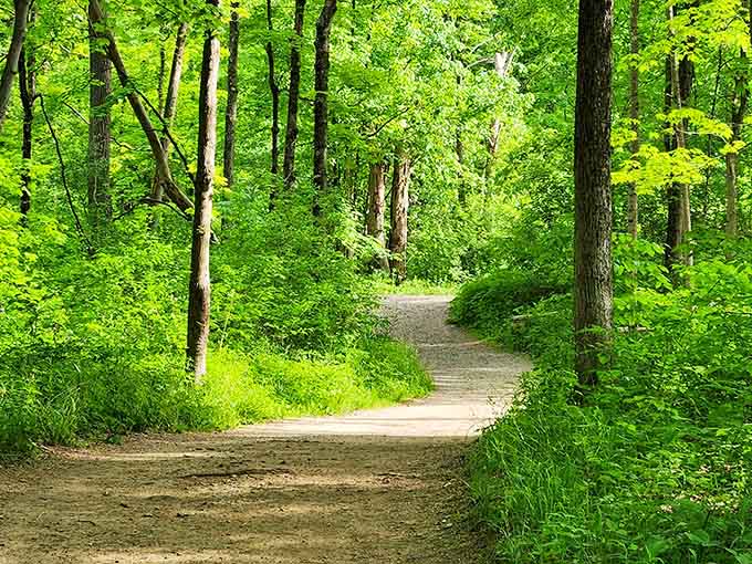 This winding green trail is nature's way of saying, "Trust me, something good is just around the corner."