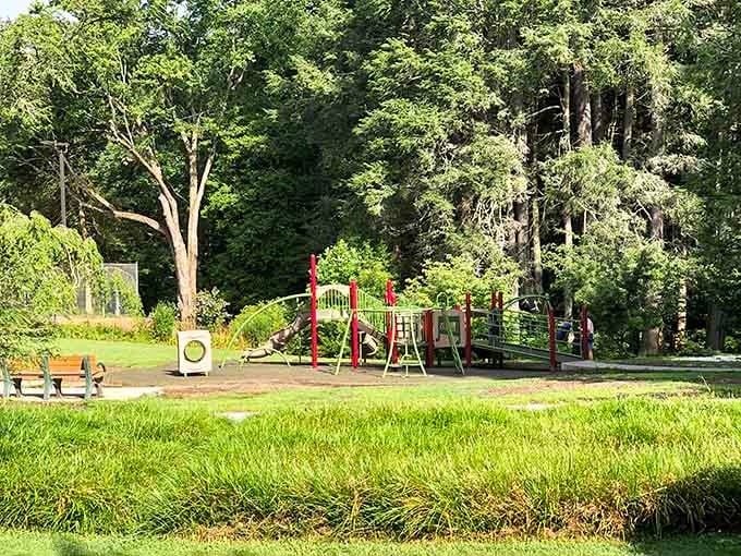 Silvermont Park is the kind of green, shady spot that makes you forget your phone exists.
