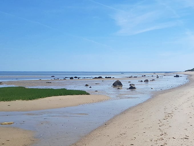 Scattered boulders and bright green marsh grass frame a scene that belongs on a postcard, not a secret.