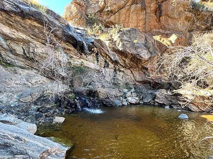 The shallow areas near the falls create perfect wading spots for those who prefer to ease into their desert swimming adventures.