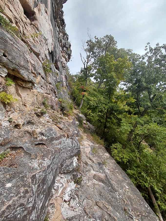 Standing at the base of these cliffs makes you feel wonderfully small in the best possible way.
