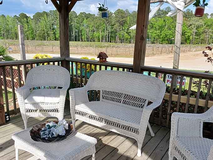 White wicker furniture overlooking vineyards proves that some design choices are simply timeless and perfect.