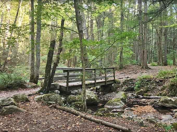 A little wooden footbridge in the middle of the woods. Robert Frost would have absolutely stopped here for a while.